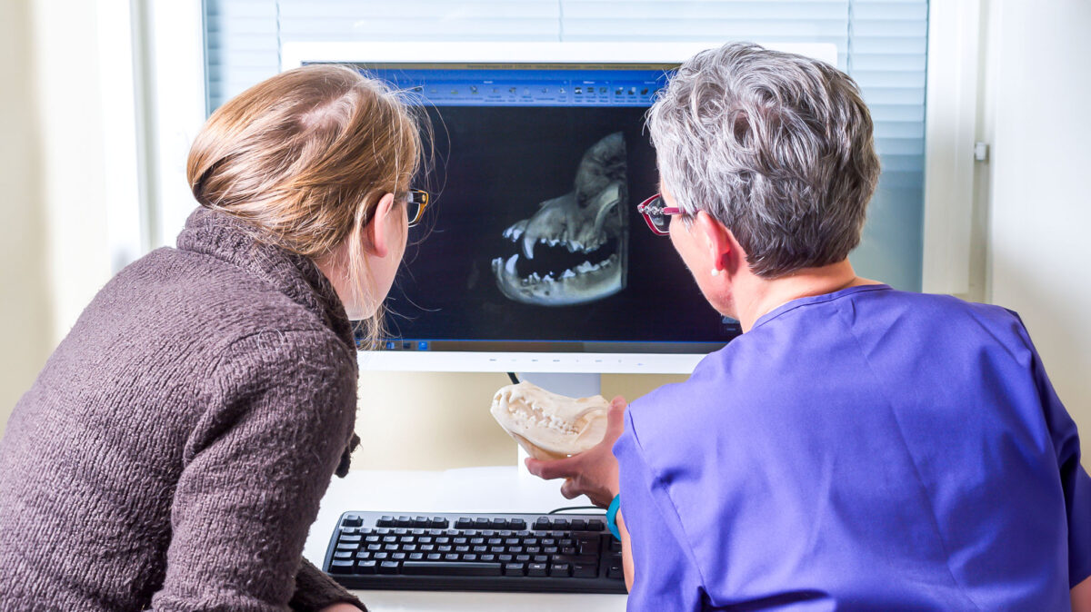 Anident Oy – Korkeatasoinen hammashoitoihin erikoistunut ...