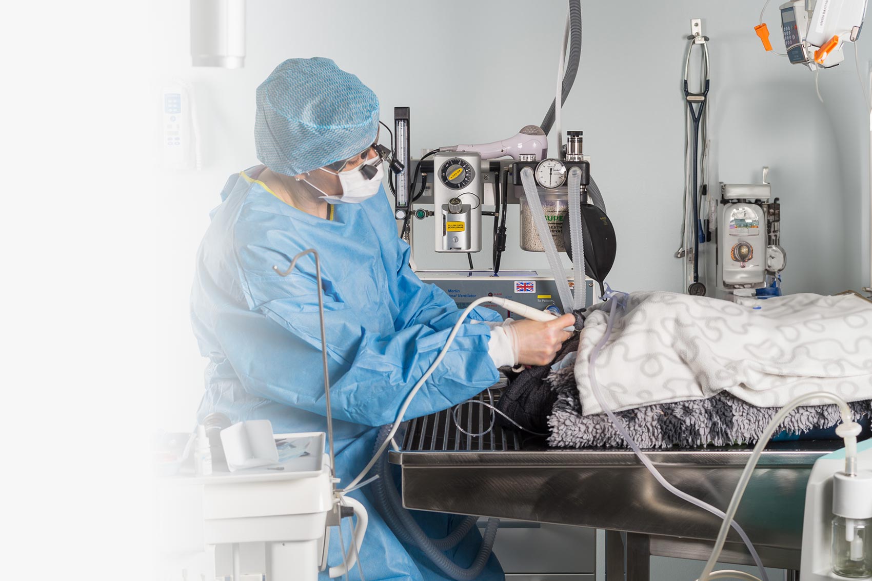 Henkilökunta – Anident Oy